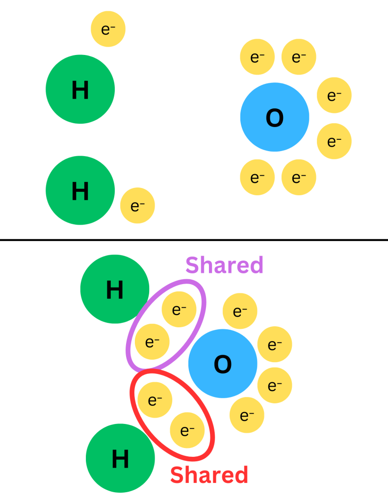Ionic Vs Molecular Chemistutor