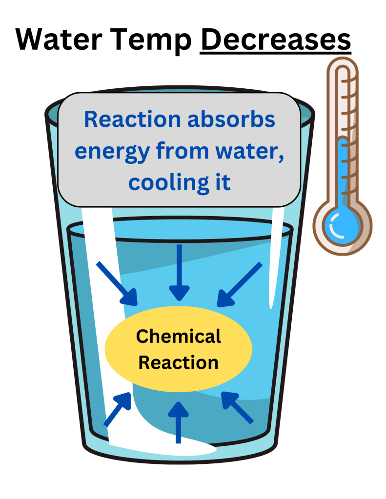 System vs. Surroundings – Chemistutor